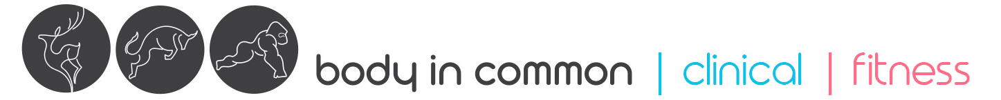 Body in Common – International Quality Pilates